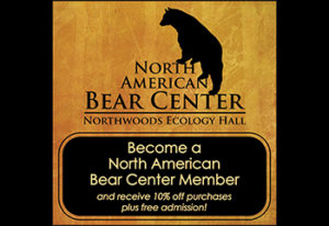 Home - North American Bear CenterNorth American Bear Center