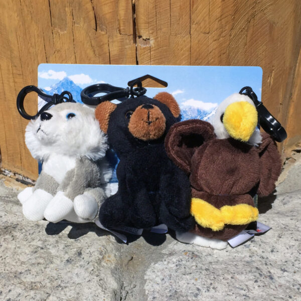 Home - North American Bear CenterNorth American Bear Center