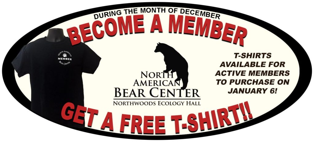 Home - North American Bear CenterNorth American Bear Center