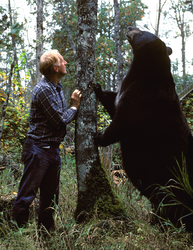 How High Can a Black Bear Reach? - North American Bear Center