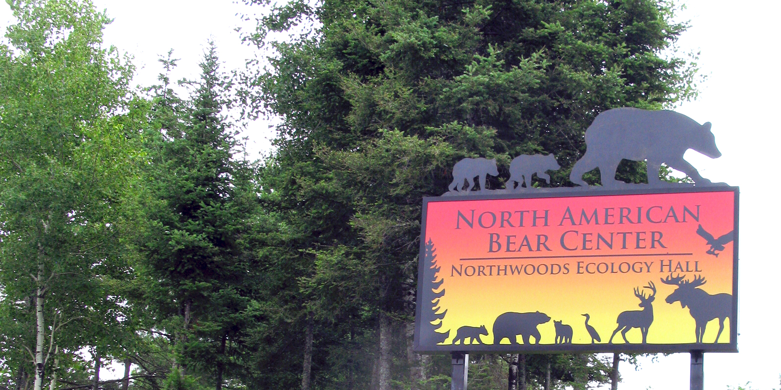 Hours, Admission, & Location - North American Bear Center